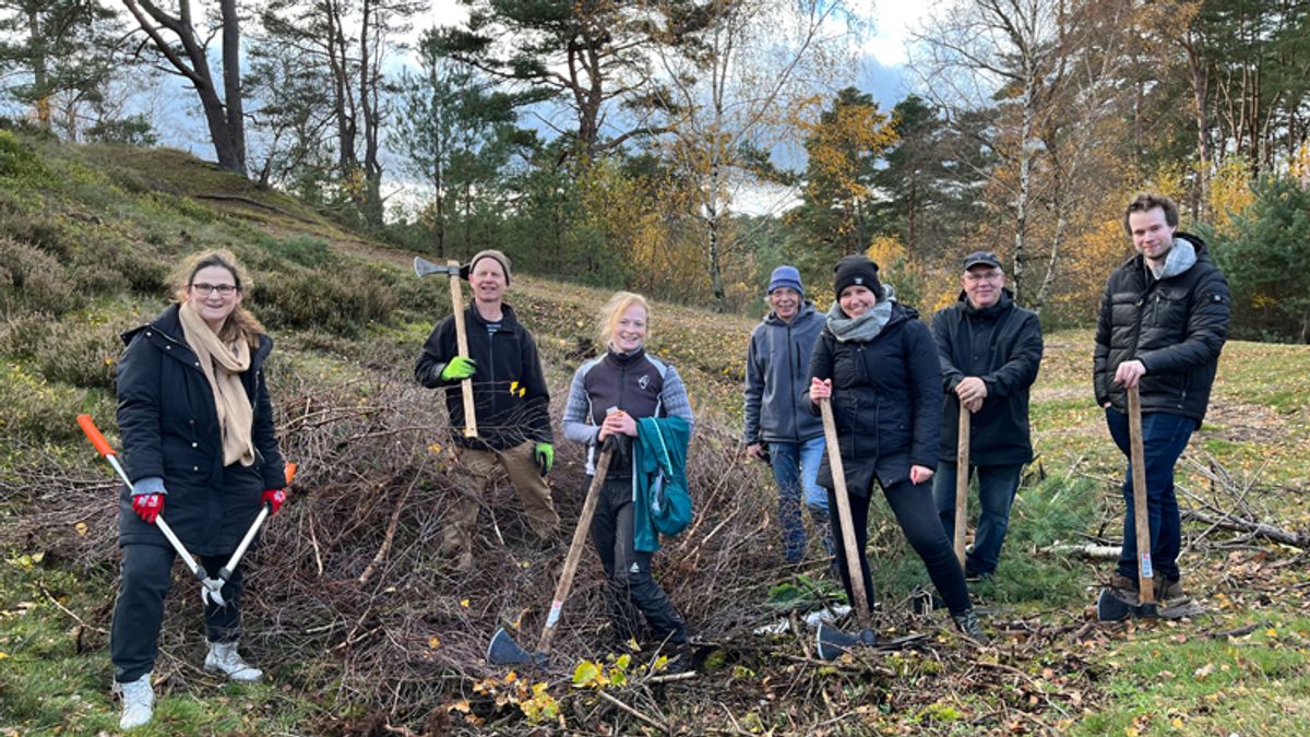 Corporate Volunteering 2023: Engagement für Umwelt und Gesellschaft